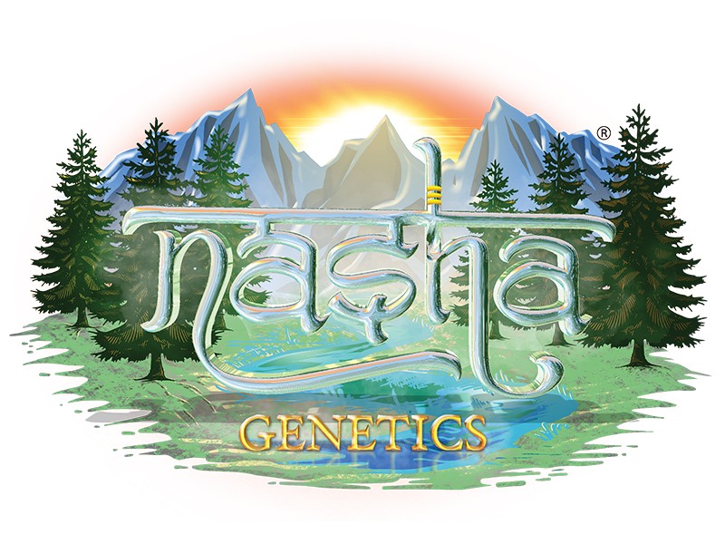 Nasha Genetics - Exotic Strains